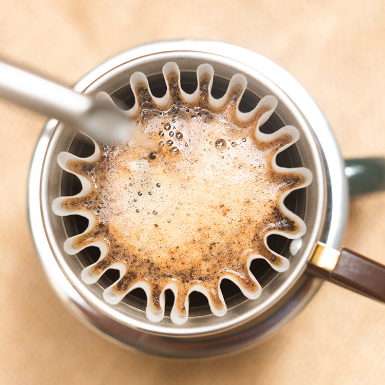 Subscription Coffee- Coffee Bean Bristol | Lost Horizon Coffee